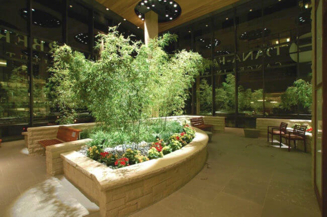 Interior Landscaping - Foliaire Inc. - Luxury Plantscaping in Boston, MA