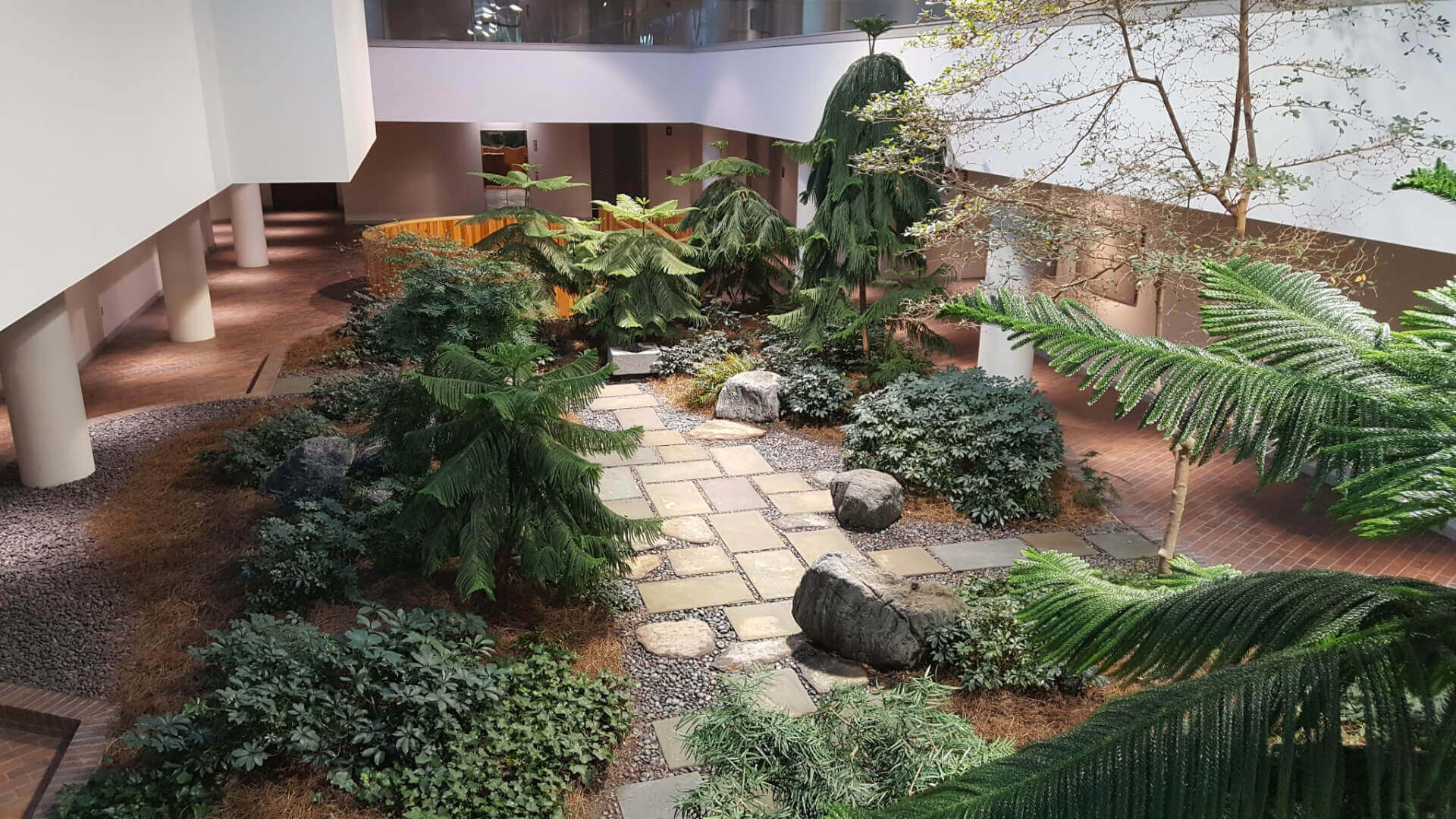 Interior Landscaping - Foliaire Inc. - Luxury Plantscaping in Boston, MA