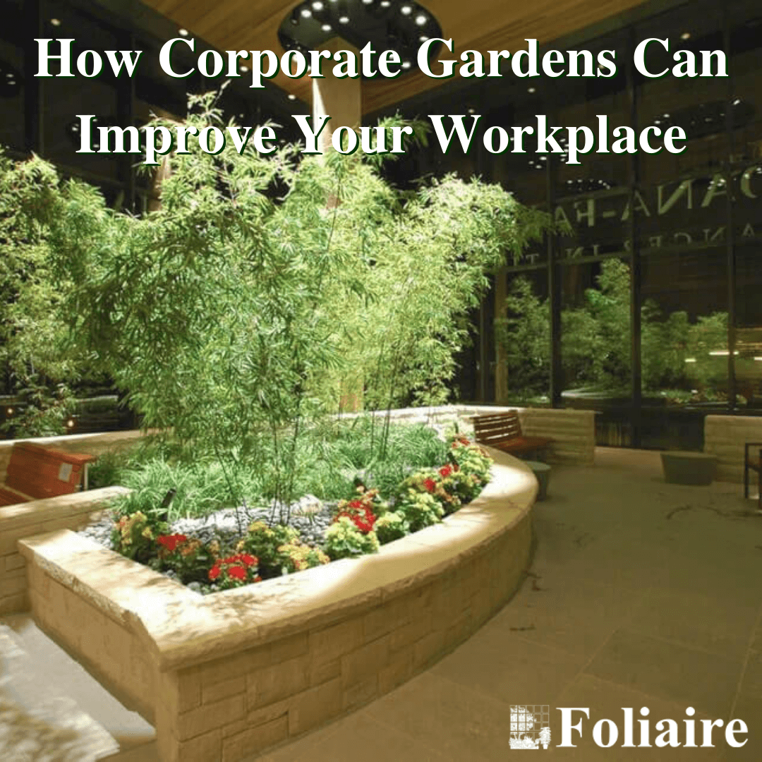 How Corporate Gardens Can Improve Your Workplace - Foliaire