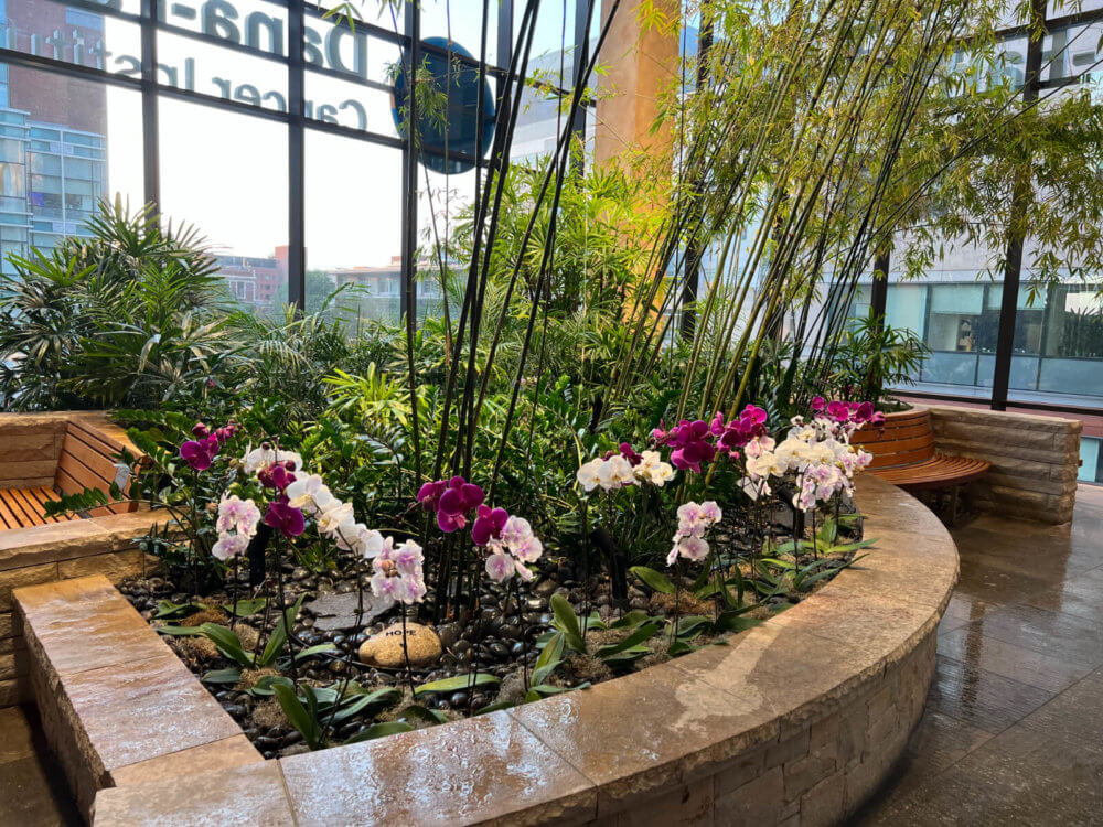 Interior Landscaping - Foliaire Inc. - Luxury Plantscaping in Boston, MA