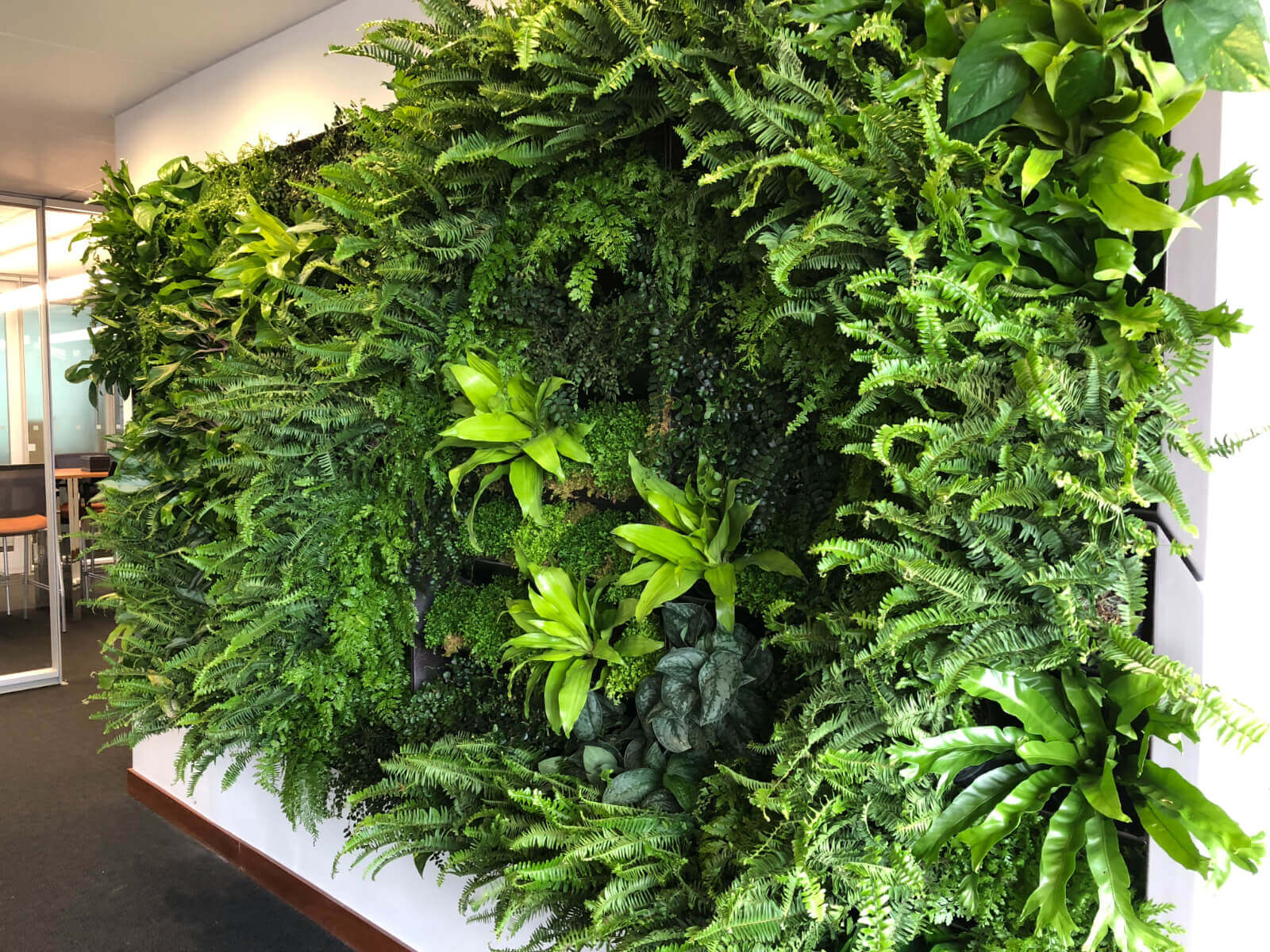 Interior Landscaping - Foliaire Inc. - Luxury Plantscaping in Boston, MA