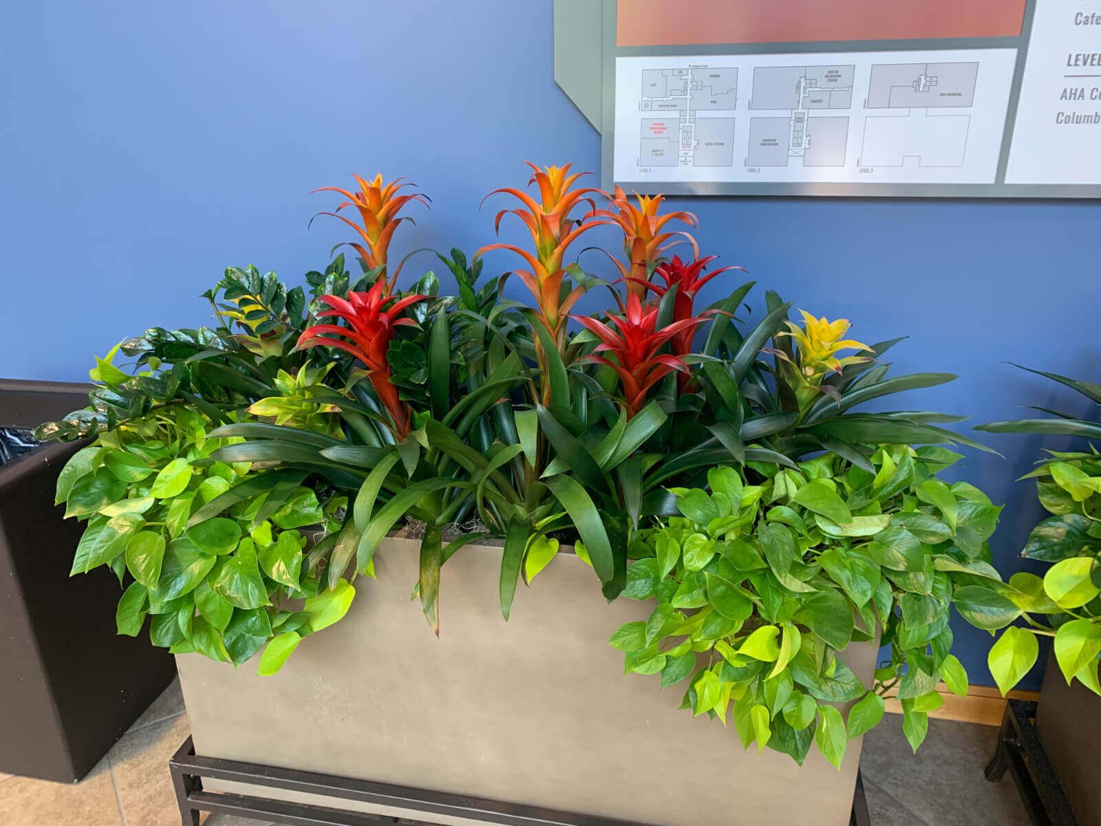 Interior Landscaping - Foliaire Inc. - Luxury Plantscaping in Boston, MA