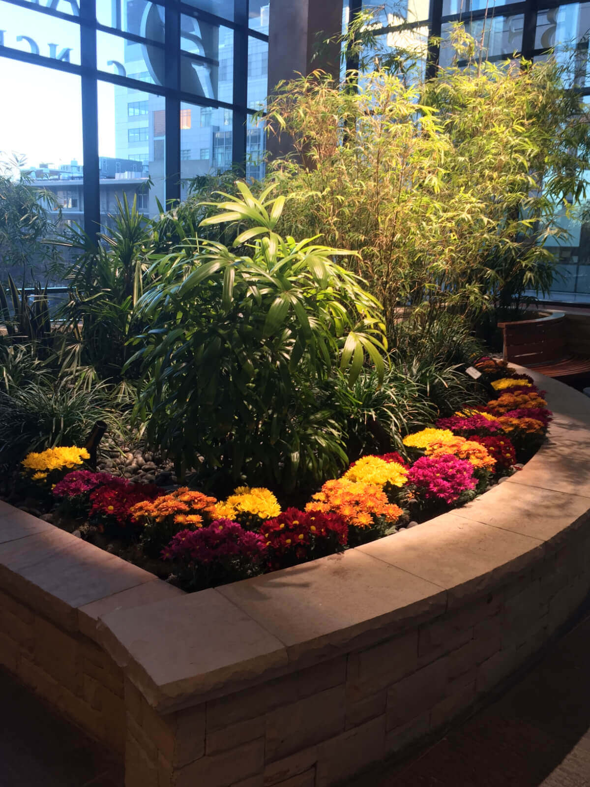 Interior Landscaping - Foliaire Inc. - Luxury Plantscaping in Boston, MA