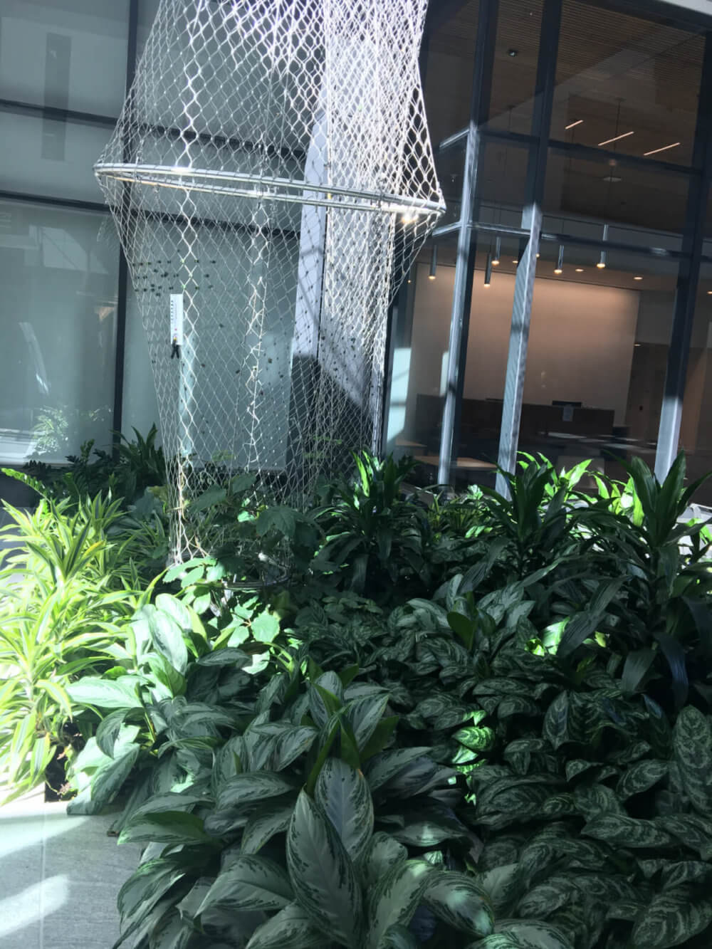 Interior Landscaping - Foliaire Inc. - Luxury Plantscaping in Boston, MA