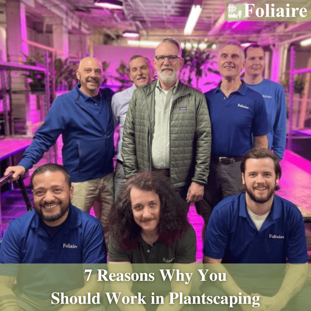 7 Reasons Why You Should Work in Plantscaping - Foliaire Blog